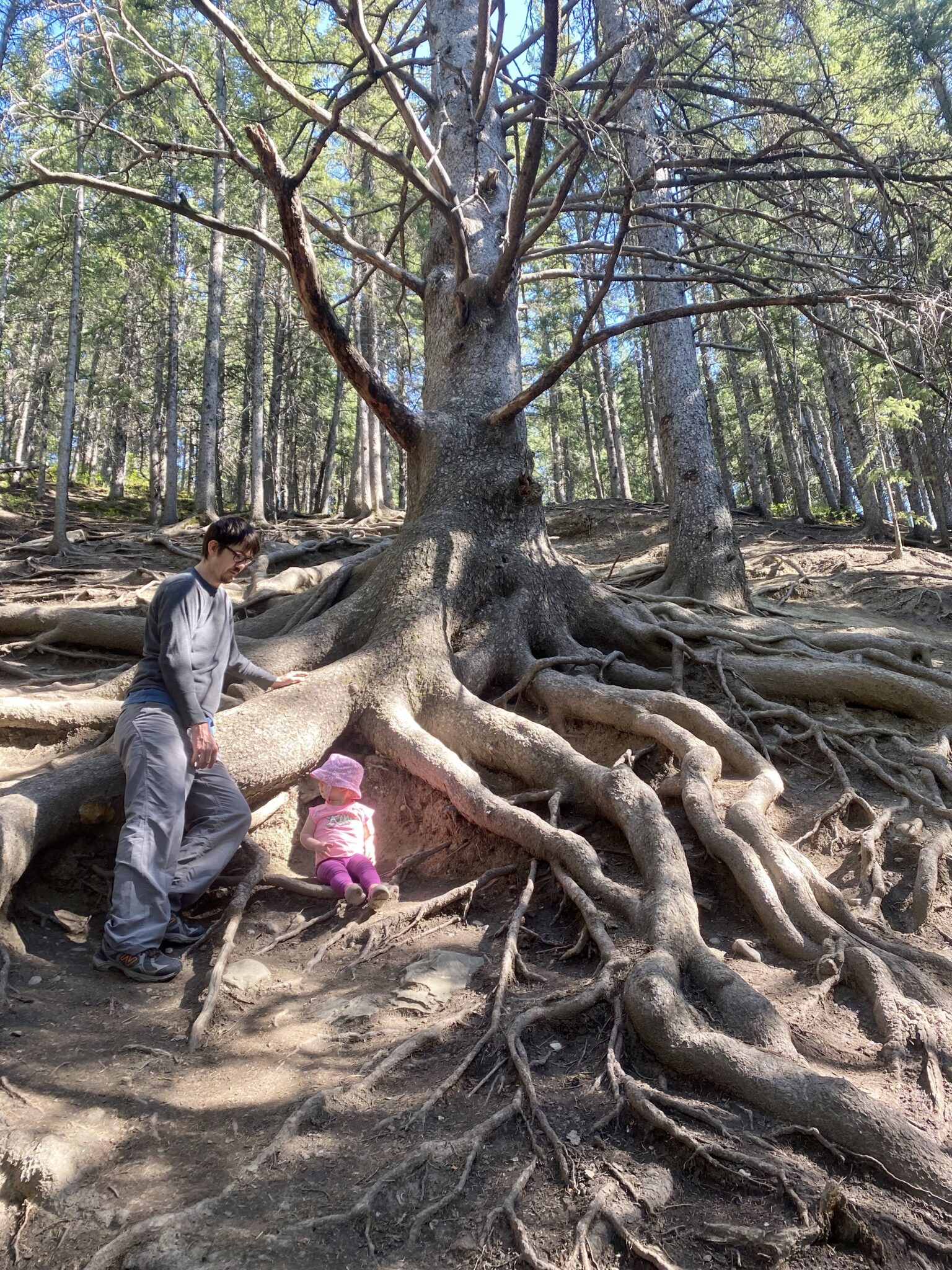 Adventure, Baby! The Grandfather Tree | Get Outside